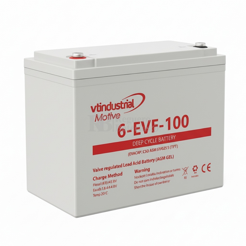 Pack 4 Baterías VT INDUSTRIAL 6-EVF100 | Gel 12V 100 Amperios ...